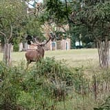 Dial Post - Shipley Circular, West Sussex, England - 187 Reviews, Map ...