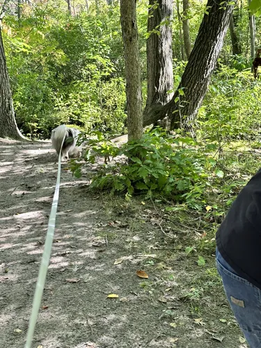 2023 Best Forest Trails in Mattawan | AllTrails