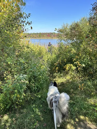 2023 Best Forest Trails in Mattawan | AllTrails