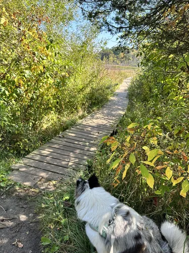 2023 Best Forest Trails in Mattawan | AllTrails