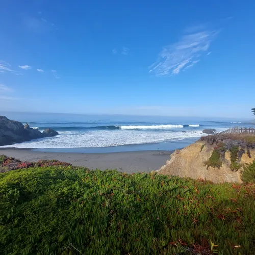 2023 Best Bird Watching Trails in Sea Ranch | AllTrails