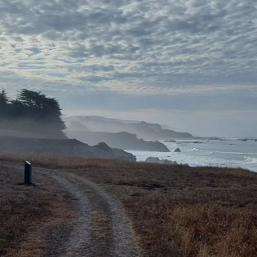 2023 Best Bird Watching Trails in Sea Ranch | AllTrails