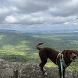 Dripping Rock South via Appalachian Trail, Virginia - 627 Reviews, Map ...