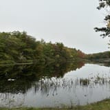 Ferry Beach State Park Loop, Maine - 232 Reviews, Map | AllTrails