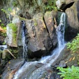 Three Forks and Springer Mountain via Appalachian Trail, Georgia - 743 ...