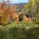 Armstrong Trail to Dawns Trail Loop, Utah - 2,536 Reviews, Map | AllTrails