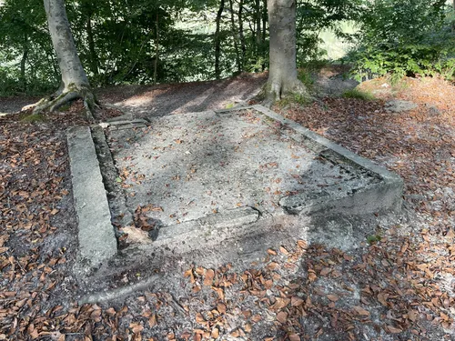 Forêt de Carnelle: de beste routes om te wandelen | AllTrails