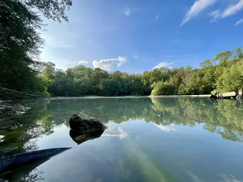 Best Forest Trails in Forêt de Carnelle | AllTrails