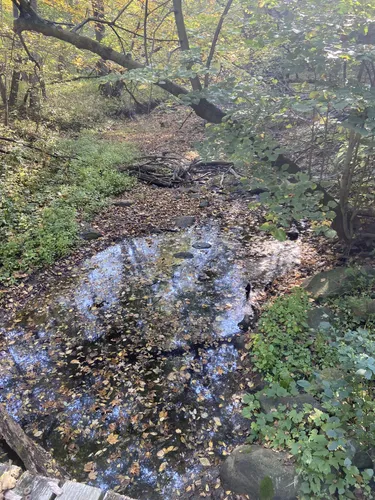 Best Hikes and Trails in Fort Defiance State Park | AllTrails