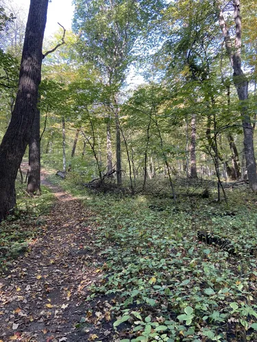 Best Hikes and Trails in Fort Defiance State Park | AllTrails