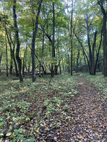Best Hikes and Trails in Fort Defiance State Park | AllTrails