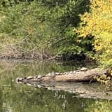 Struble Trail, Pennsylvania - 1,085 Reviews, Map | AllTrails