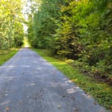 Colchester Causeway Trail, Vermont - 863 Reviews, Map | AllTrails