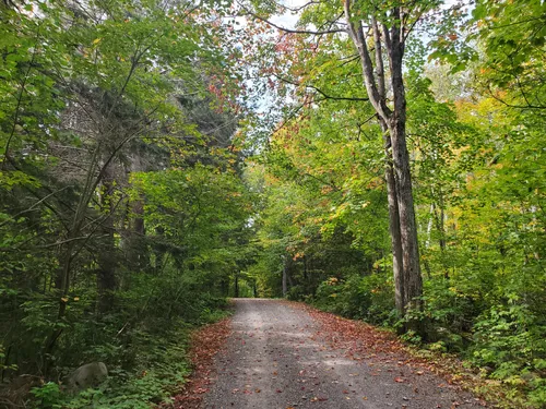 Best Views Trails in Blind River | AllTrails