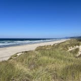 Bayocean Peninsula, Oregon - 698 Reviews, Map | AllTrails