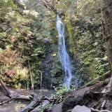 Madison Falls Trail, Washington - 1,589 Reviews, Map | AllTrails