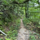 Pyramid Point Loop, Michigan - 928 Reviews, Map | AllTrails