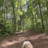 Big Berea Trail, Bull Creek Trail, and White Pine Loop, North Carolina ...