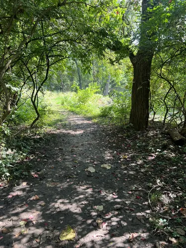 Best Hikes and Trails in Kickapoo Creek County Park | AllTrails