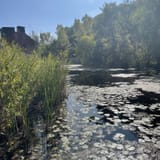 Moore Park Ravine Trail, Ontario, Canada - 991 Reviews, Map | AllTrails