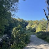 Moore Park Ravine Trail, Ontario, Canada - 991 Reviews, Map | AllTrails