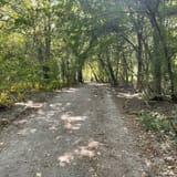 Moore Park Ravine Trail, Ontario, Canada - 991 Reviews, Map | AllTrails