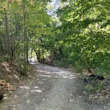 Moore Park Ravine Trail, Ontario, Canada - 991 Reviews, Map | AllTrails
