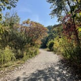 Moore Park Ravine Trail, Ontario, Canada - 991 Reviews, Map | AllTrails