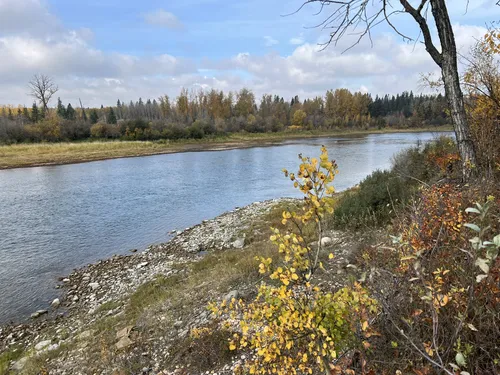 10 Best Trails and Hikes in Red Deer | AllTrails