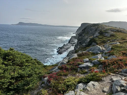 Best Forest Trails in Flatrock | AllTrails