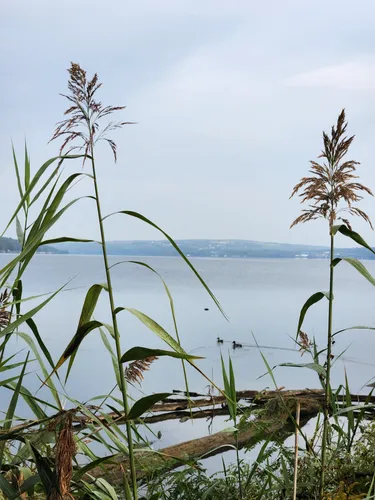 Best Hikes and Trails in Allan H. Treman State Marine Park | AllTrails