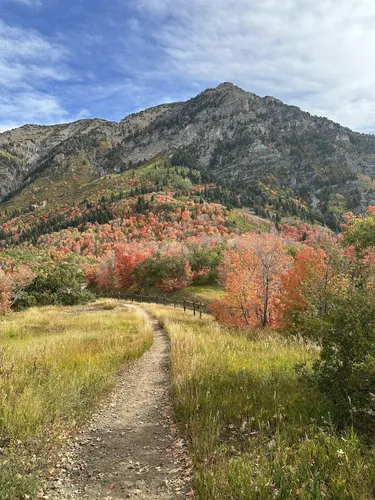 10 Best Trails and Hikes in Provo | AllTrails