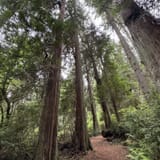 Point Defiance Park Inner Loop, Washington - 886 Reviews, Map | AllTrails