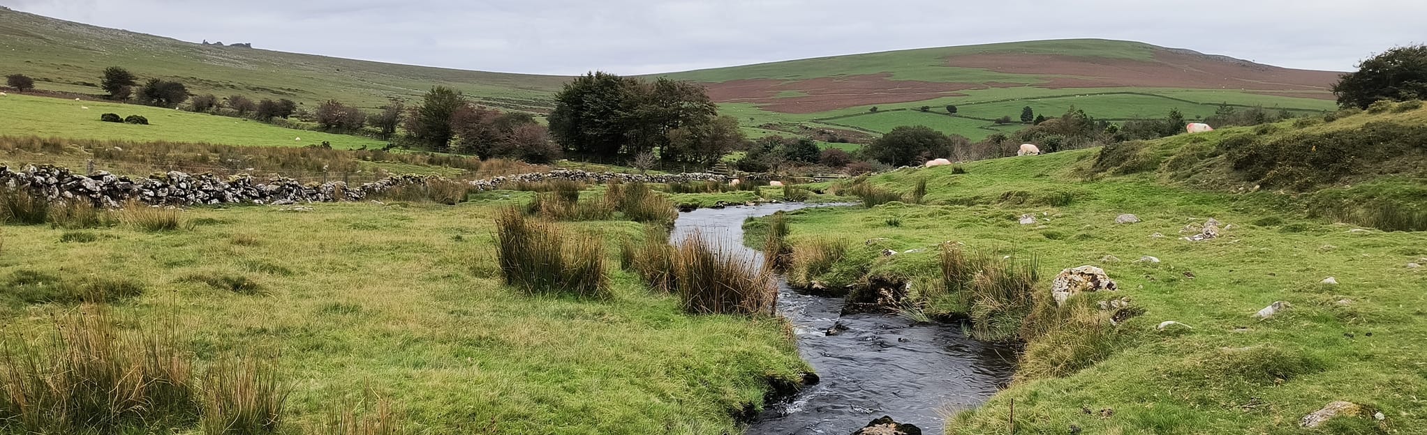 Great Staple Tor and White Tor Circular, Devon, England - 82 Reviews ...