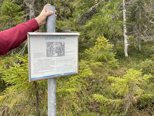 Best Hikes and Trails in Bjuröklubb Nature Reserve | AllTrails