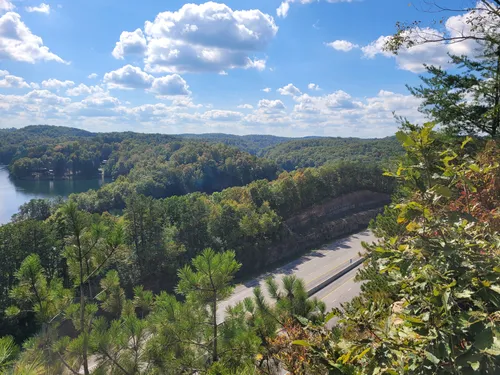 Best Hikes and Trails in Wildcat Off-Road Park | AllTrails