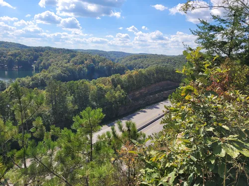 Best Hikes and Trails in Wildcat Off-Road Park | AllTrails