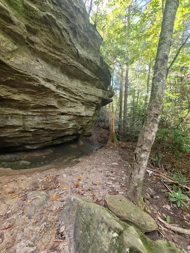 2023 Best Off Road Driving Trails in Kentucky | AllTrails