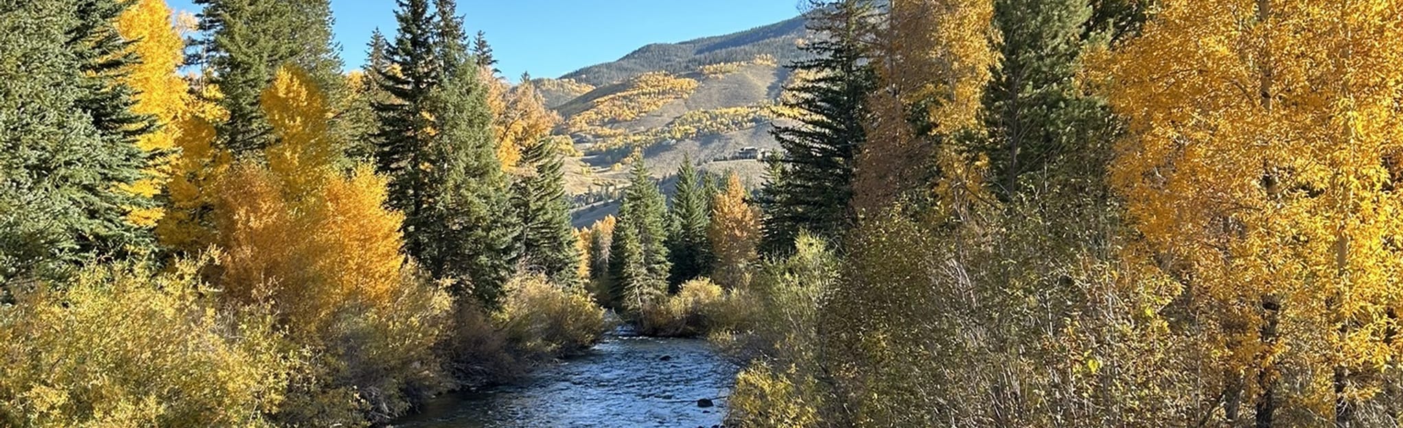 Silverthorne Blue River Trail, Colorado - 279 Reviews, Map | AllTrails
