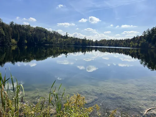 10 Best Hikes and Trails in Crawford Lake Conservation Area | AllTrails