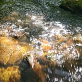 The Boogerman Trail, North Carolina - 494 Reviews, Map | AllTrails