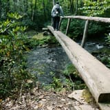 The Boogerman Trail, North Carolina - 494 Reviews, Map | AllTrails