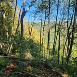 Canyon Vista Trail, Pennsylvania - 812 Reviews, Map | AllTrails