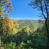 Canyon Vista Trail, Pennsylvania - 812 Reviews, Map | AllTrails