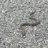 Legacy Parkway Trail, Utah - 243 Reviews, Map | AllTrails