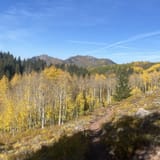 Wasatch Crest Trail, Utah - 305 Reviews, Map | AllTrails