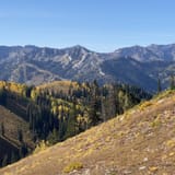 Wasatch Crest Trail, Utah - 305 Reviews, Map | AllTrails