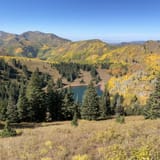 Wasatch Crest Trail, Utah - 363 Reviews, Map | AllTrails