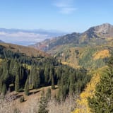 Wasatch Crest Trail, Utah - 305 Reviews, Map | AllTrails