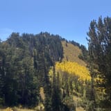 Wasatch Crest Trail, Utah - 363 Reviews, Map | AllTrails